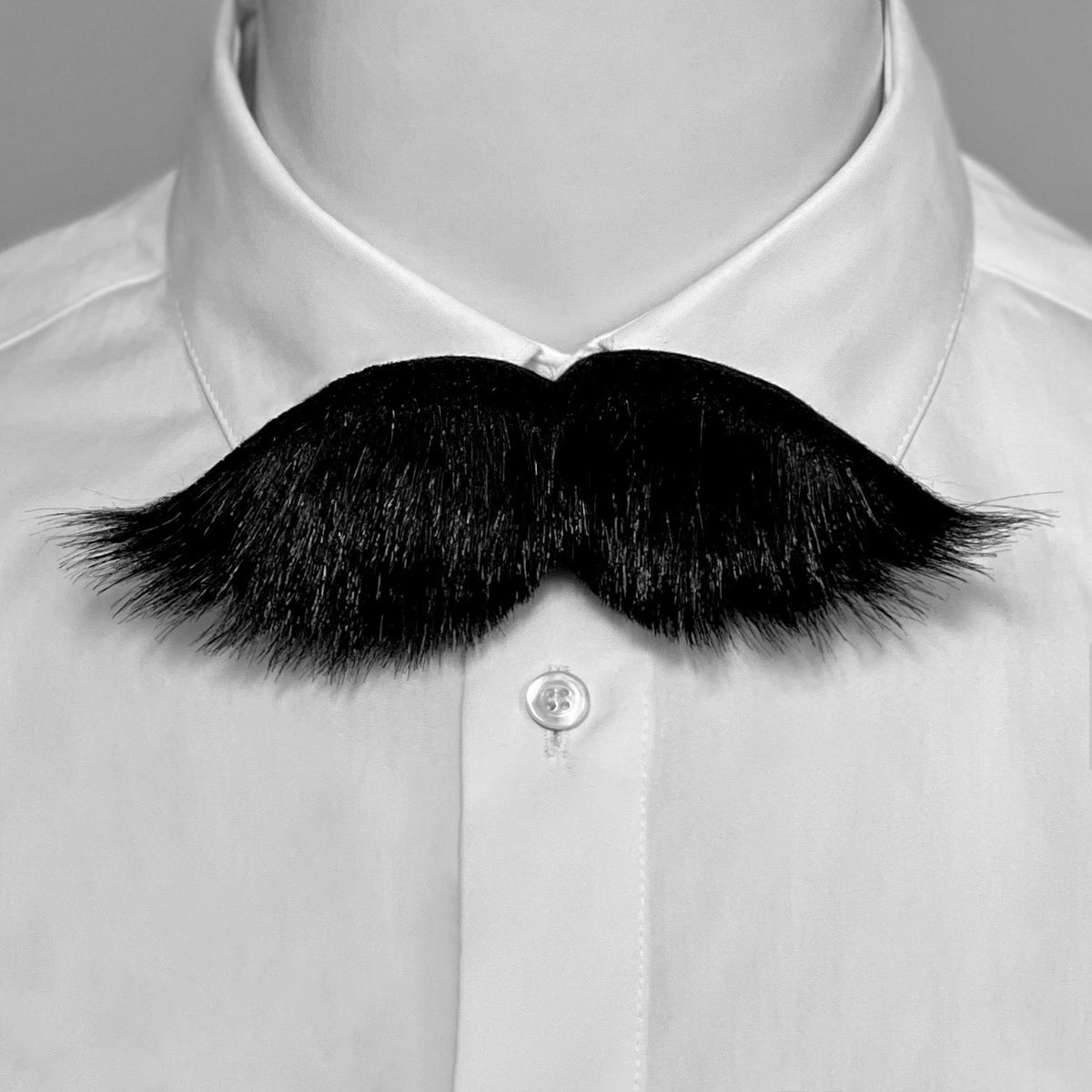 MOUSTACHE – CORNÉ GABRIËLS